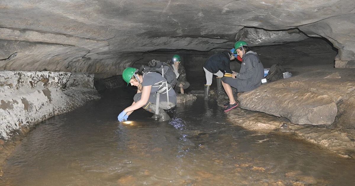 Scientists Find Microplastics In Cave Sealed Off From All Humans Scientists Find Microplastics In Cave Sealed Off From All Humans